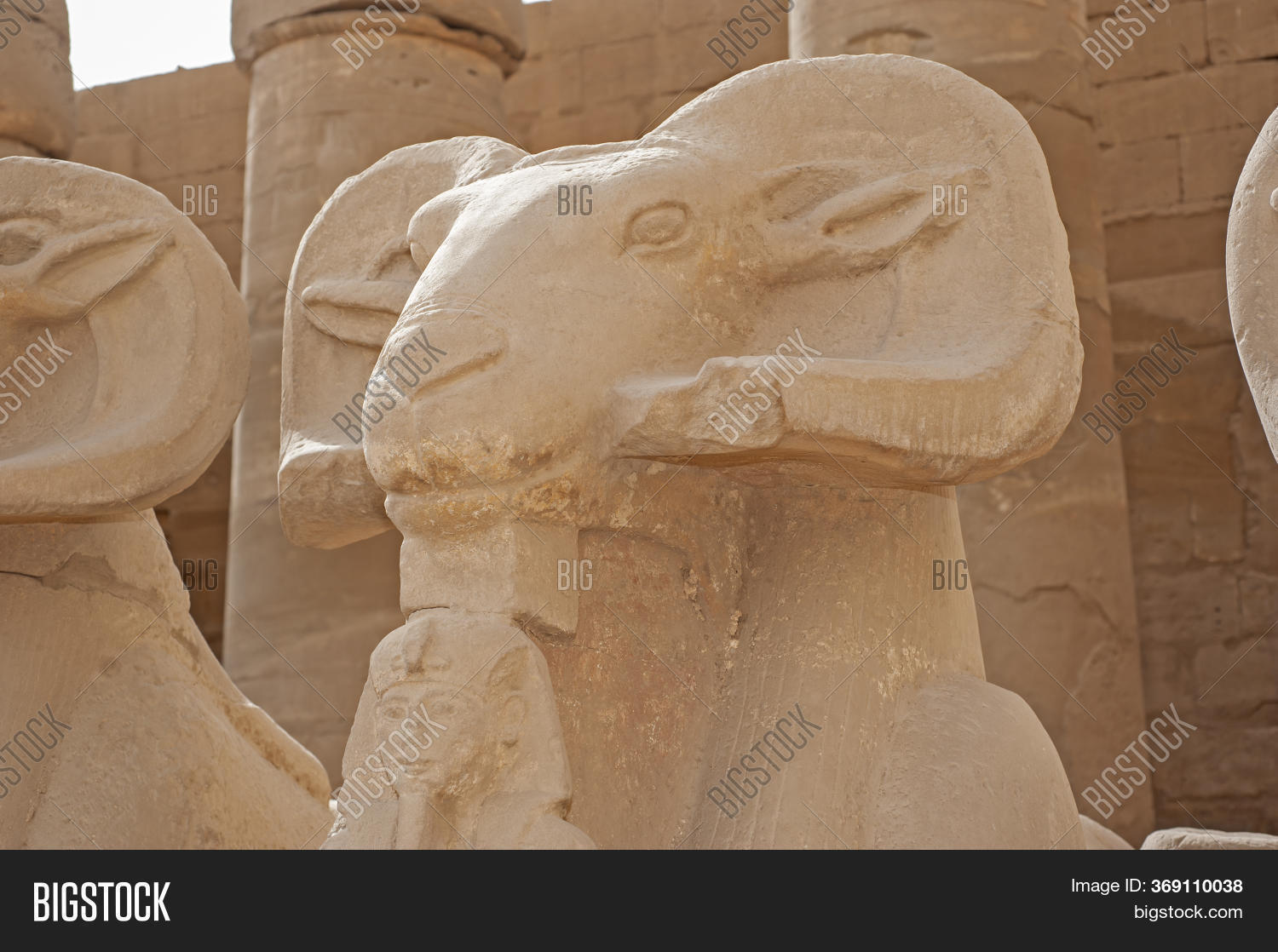 Ancient Egyptian Ram Image & Photo (Free Trial) | Bigstock