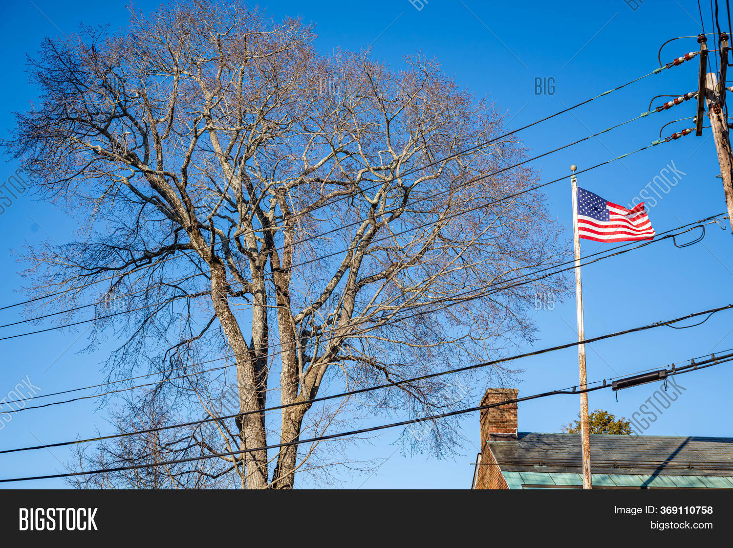 American Flag Tree On Image & Photo (Free Trial) | Bigstock
