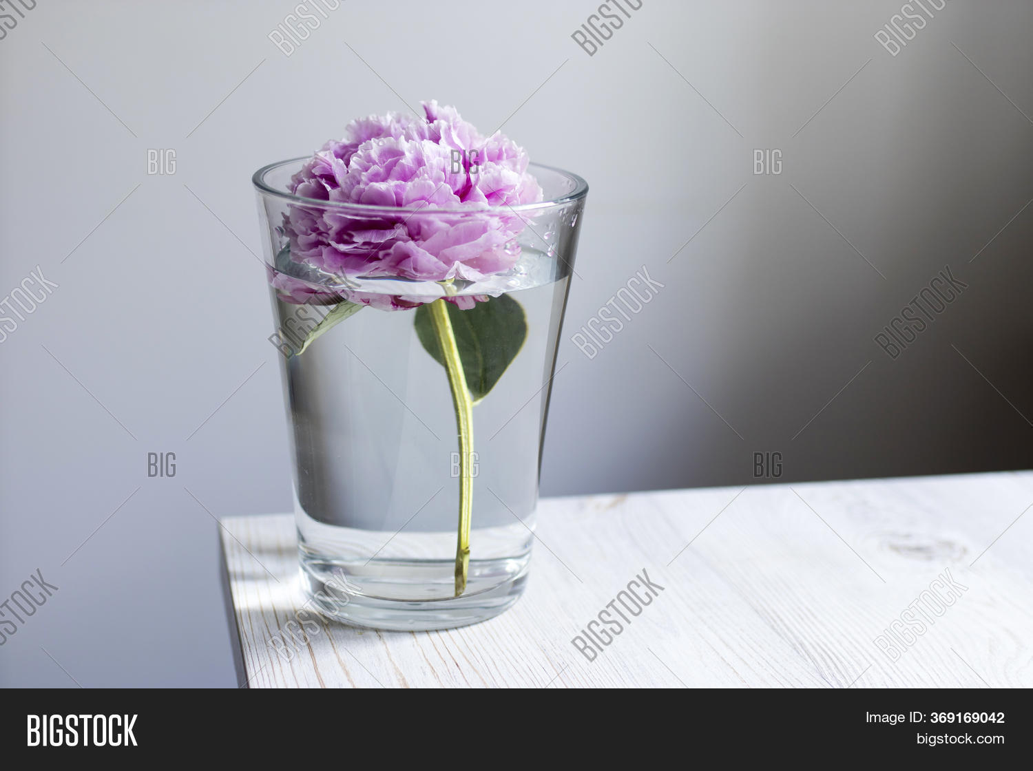Pink Peony Glass Vase Image & Photo (Free Trial) | Bigstock