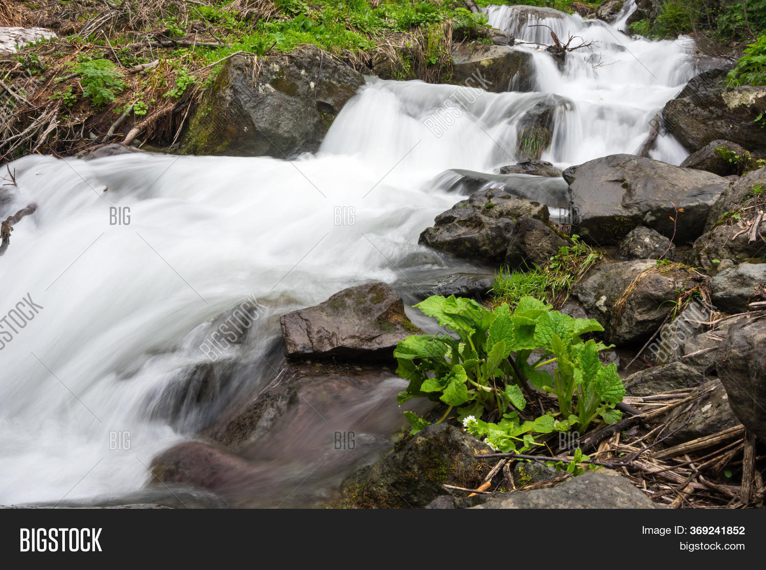 View Brook Caucasian Image & Photo (Free Trial) | Bigstock