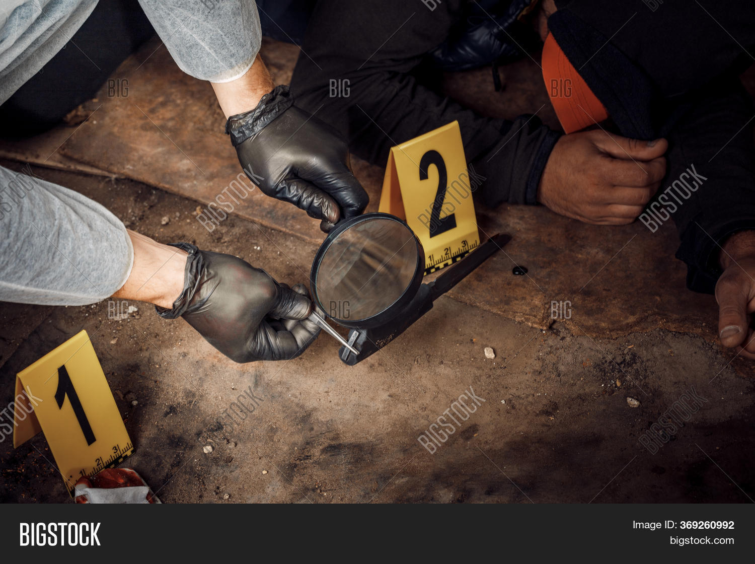 Expert Gathering Image & Photo (Free Trial) | Bigstock