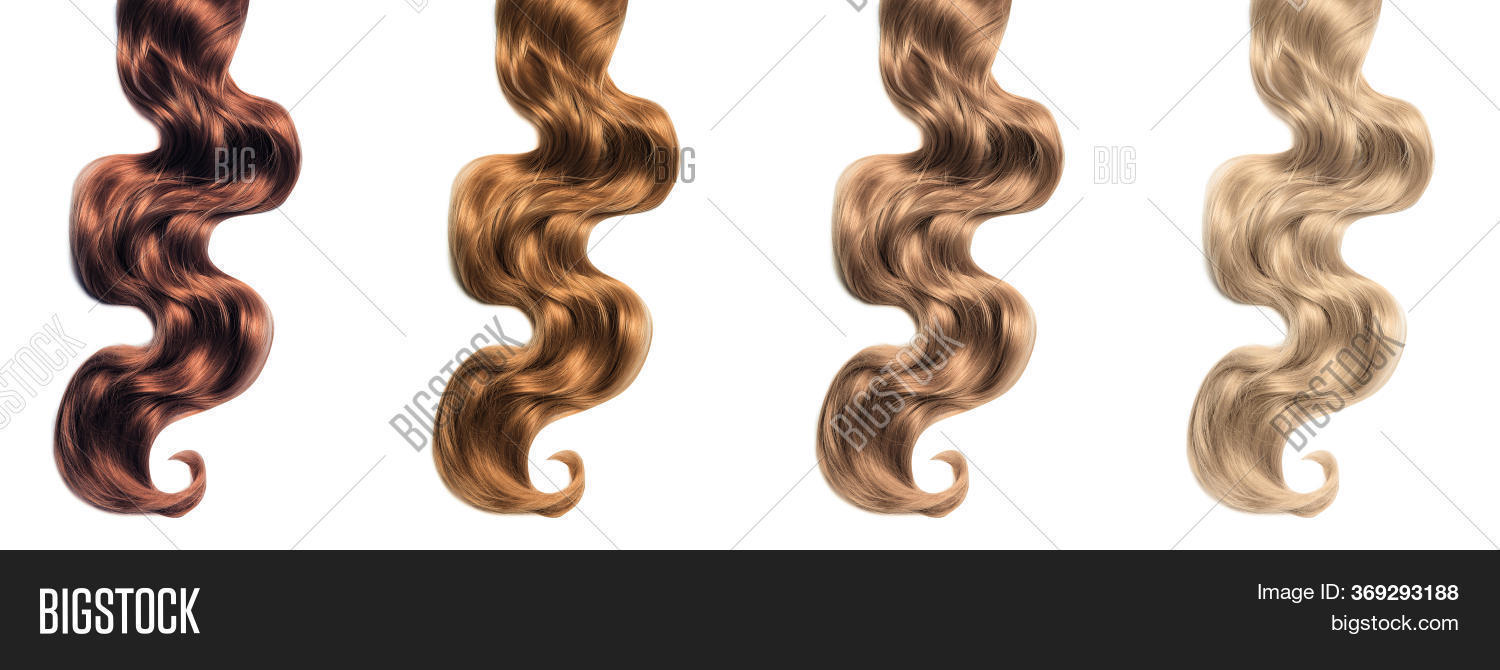 Set Color Hair Samples Image & Photo (Free Trial) | Bigstock