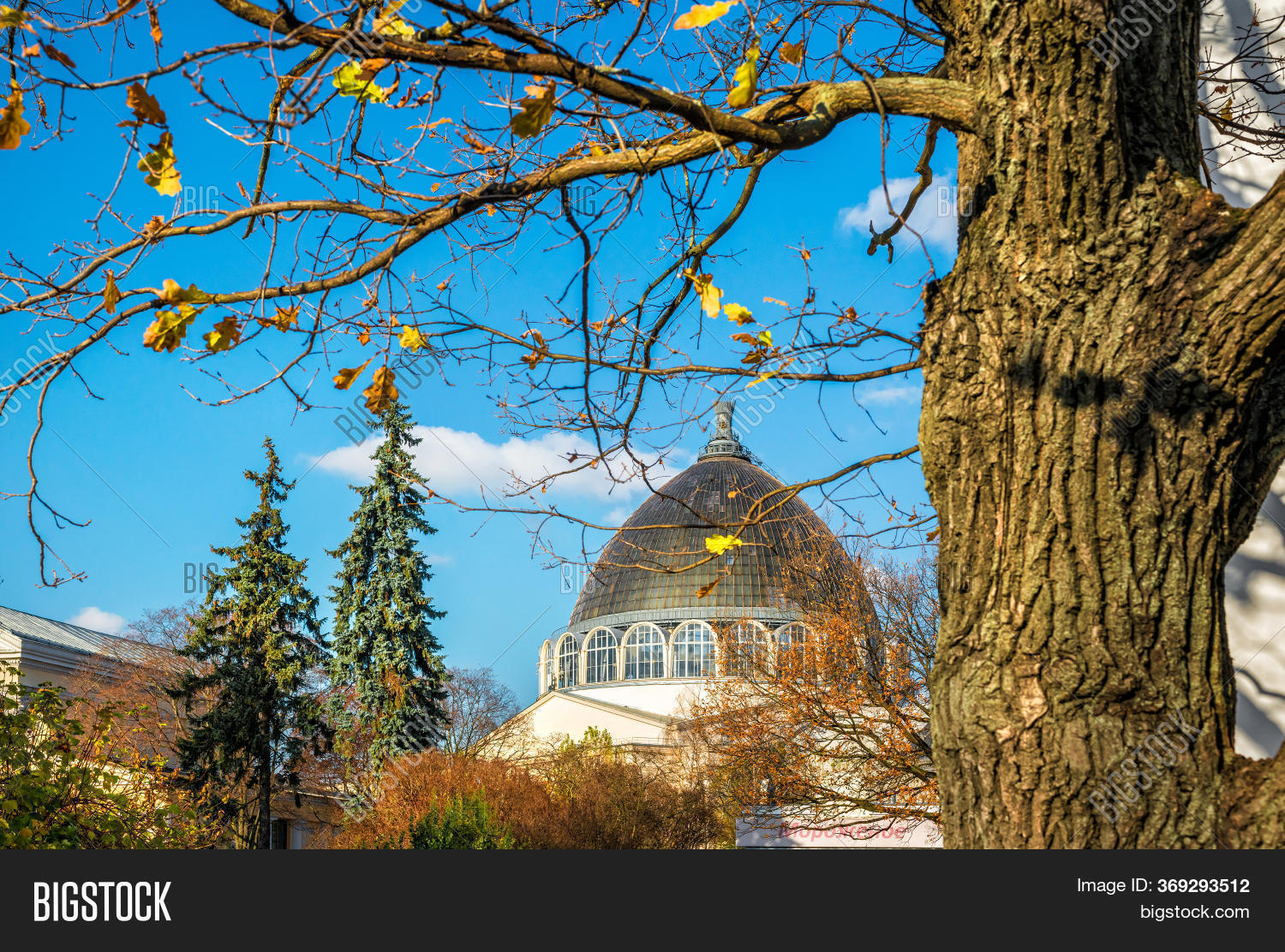 Dome Pavilion Image & Photo (Free Trial) | Bigstock