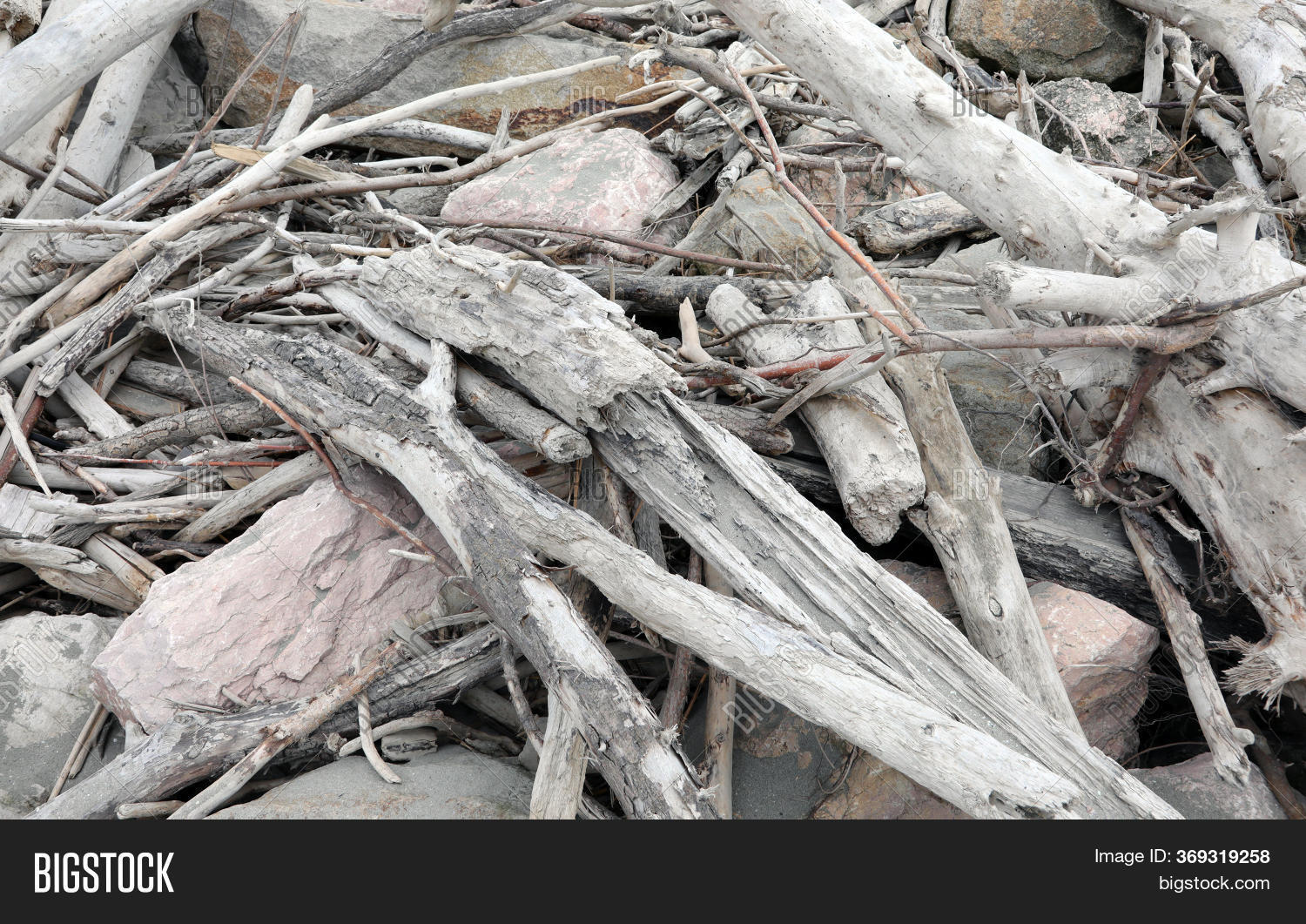 Background Many Dry Image & Photo (Free Trial) | Bigstock