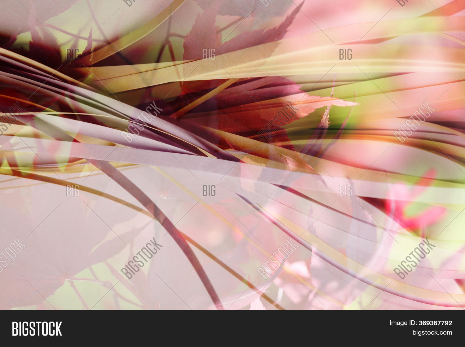 Double Exposure. Image & Photo (Free Trial) | Bigstock