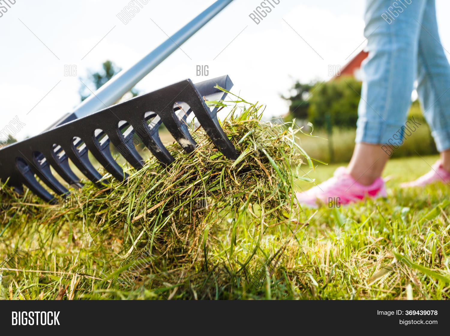 Person Raking Leaves Image & Photo (Free Trial) | Bigstock
