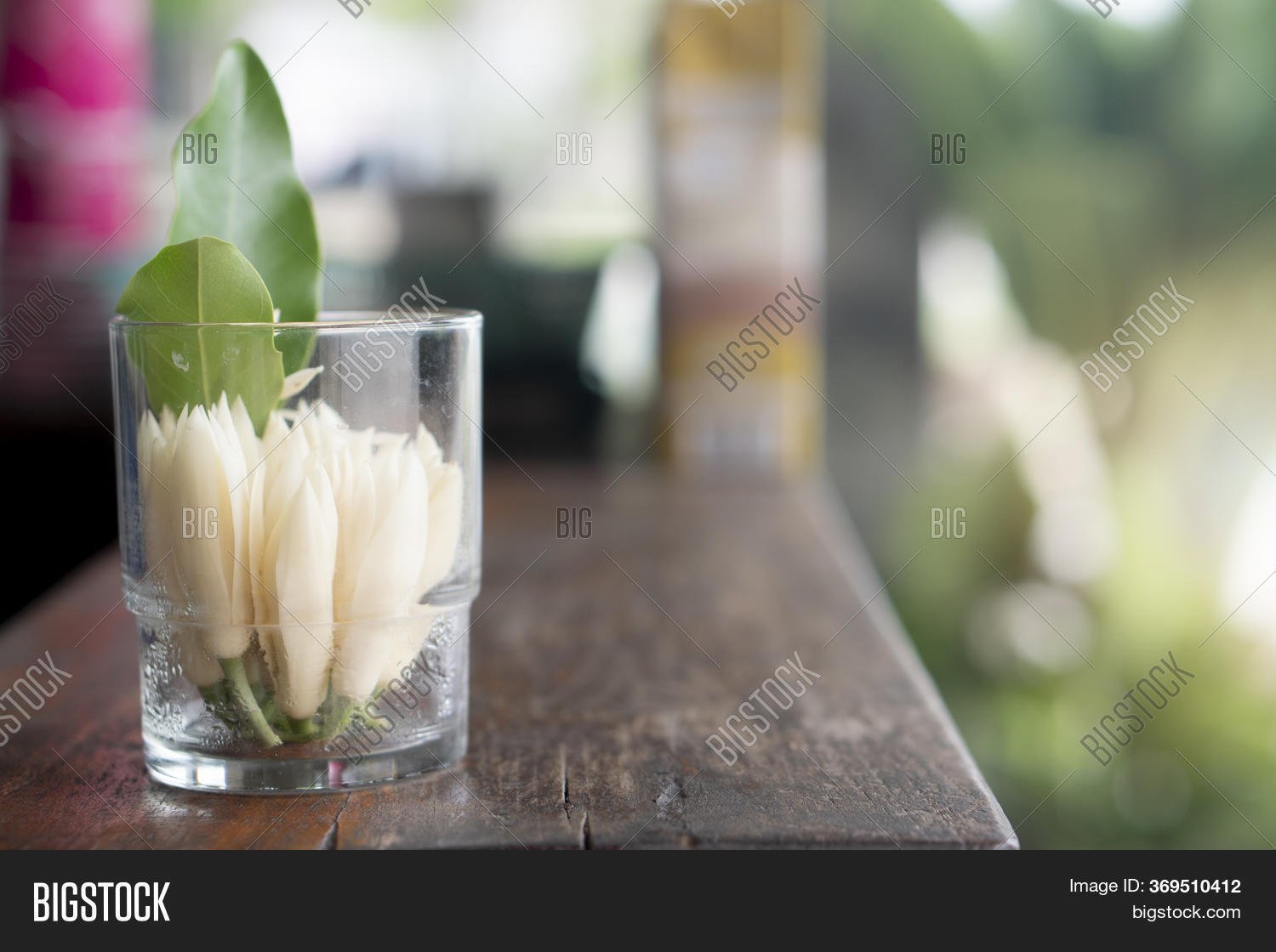 White Champaka Flower Image & Photo (Free Trial) | Bigstock