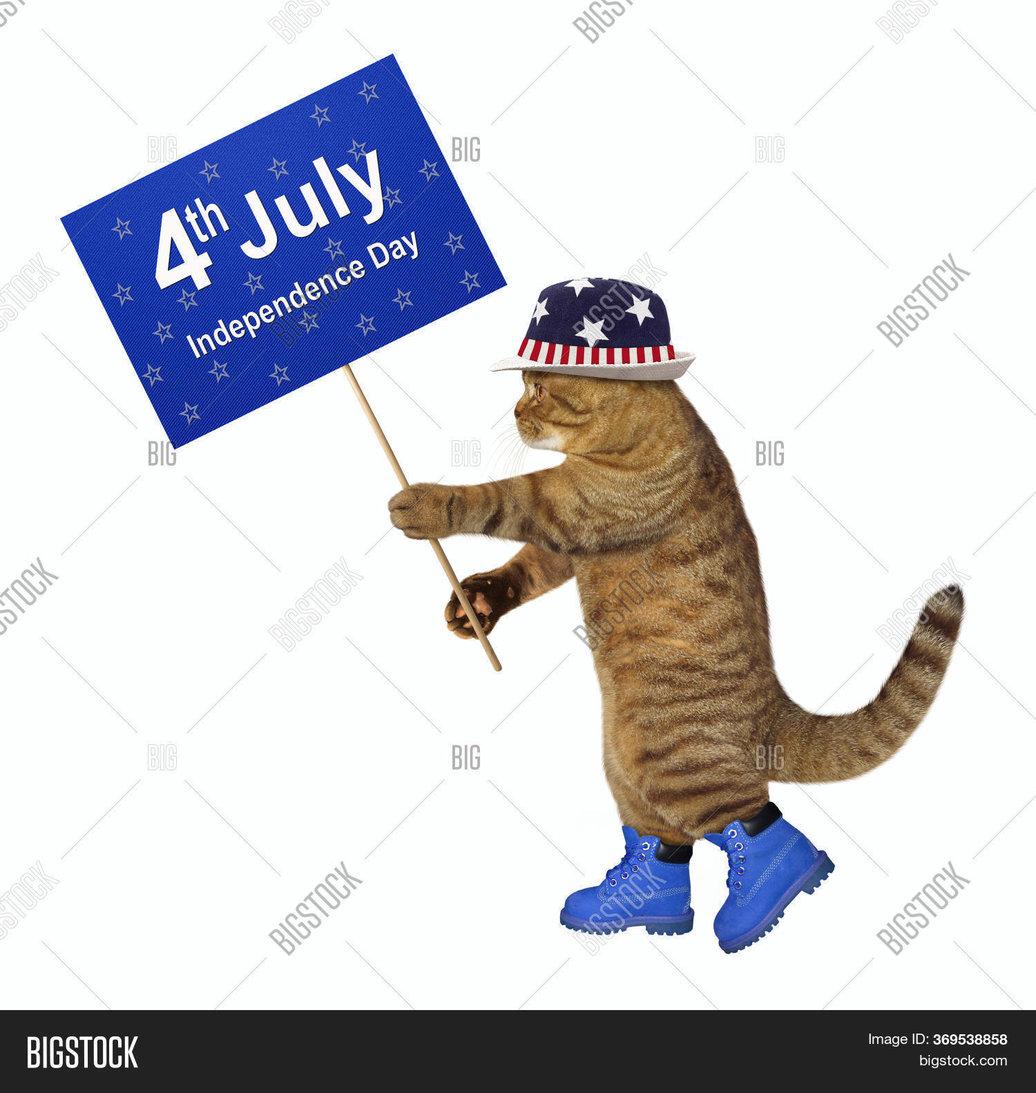 Beige Patriotic Cat Image & Photo (Free Trial) | Bigstock