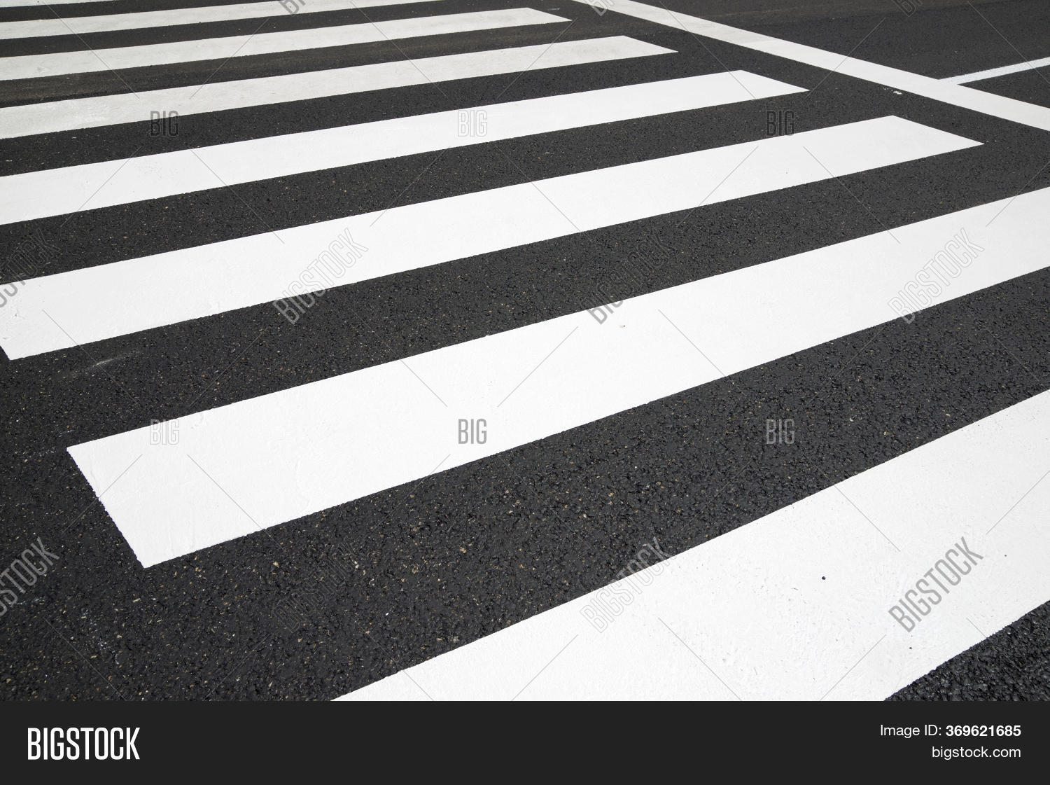 Zebra Crossing Without Image & Photo (Free Trial) | Bigstock
