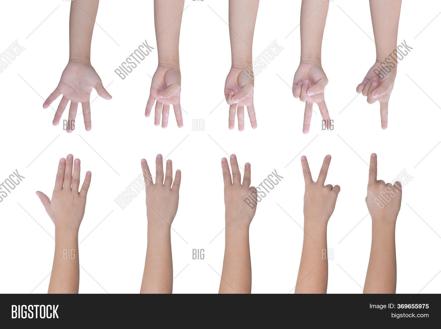 Children Hand Showing Image & Photo (Free Trial) | Bigstock