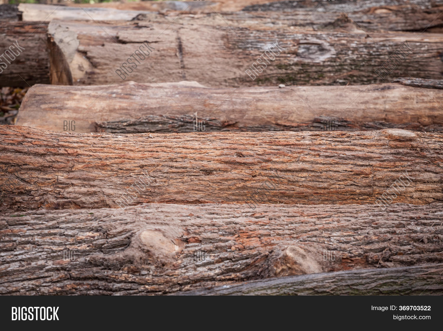 Wooden Logs, Timber, Image & Photo (Free Trial) | Bigstock