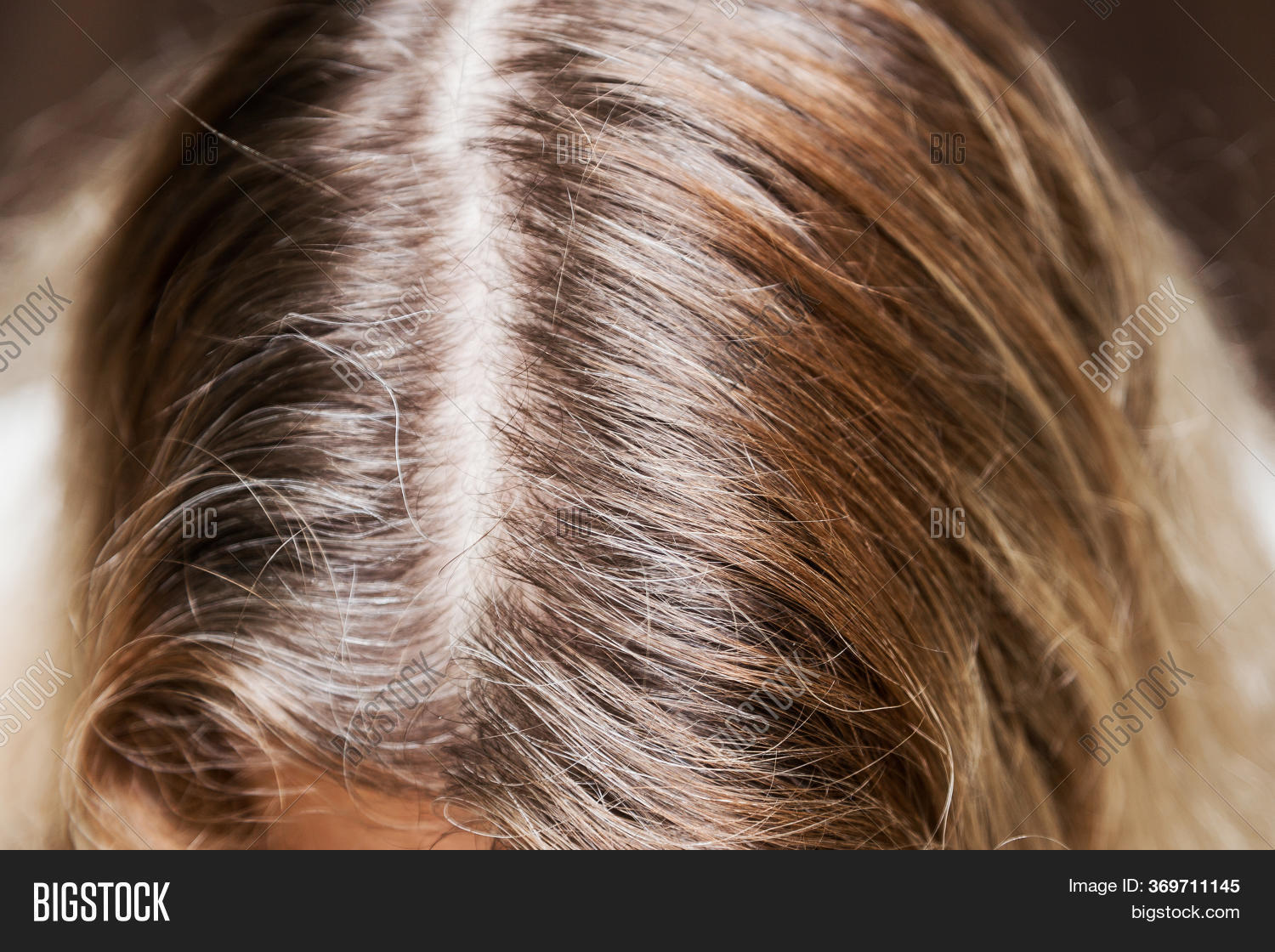 Dark Roots Hair, Image & Photo (Free Trial) | Bigstock