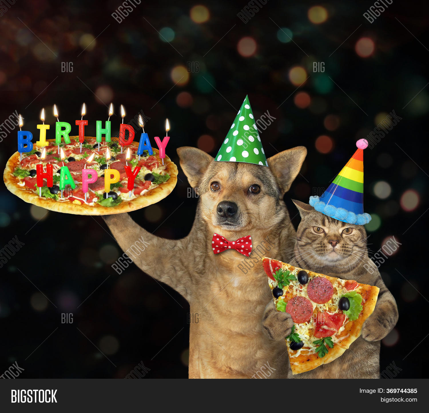 Beige Dog Cat Party Image & Photo (Free Trial) | Bigstock