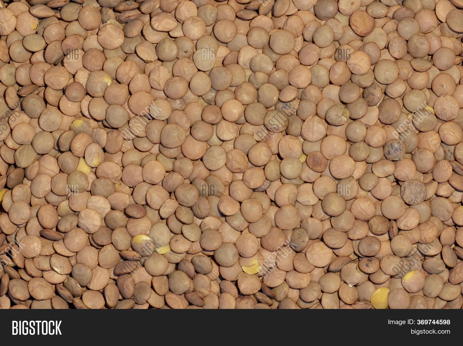 Lentils. Food Image & Photo (Free Trial) | Bigstock