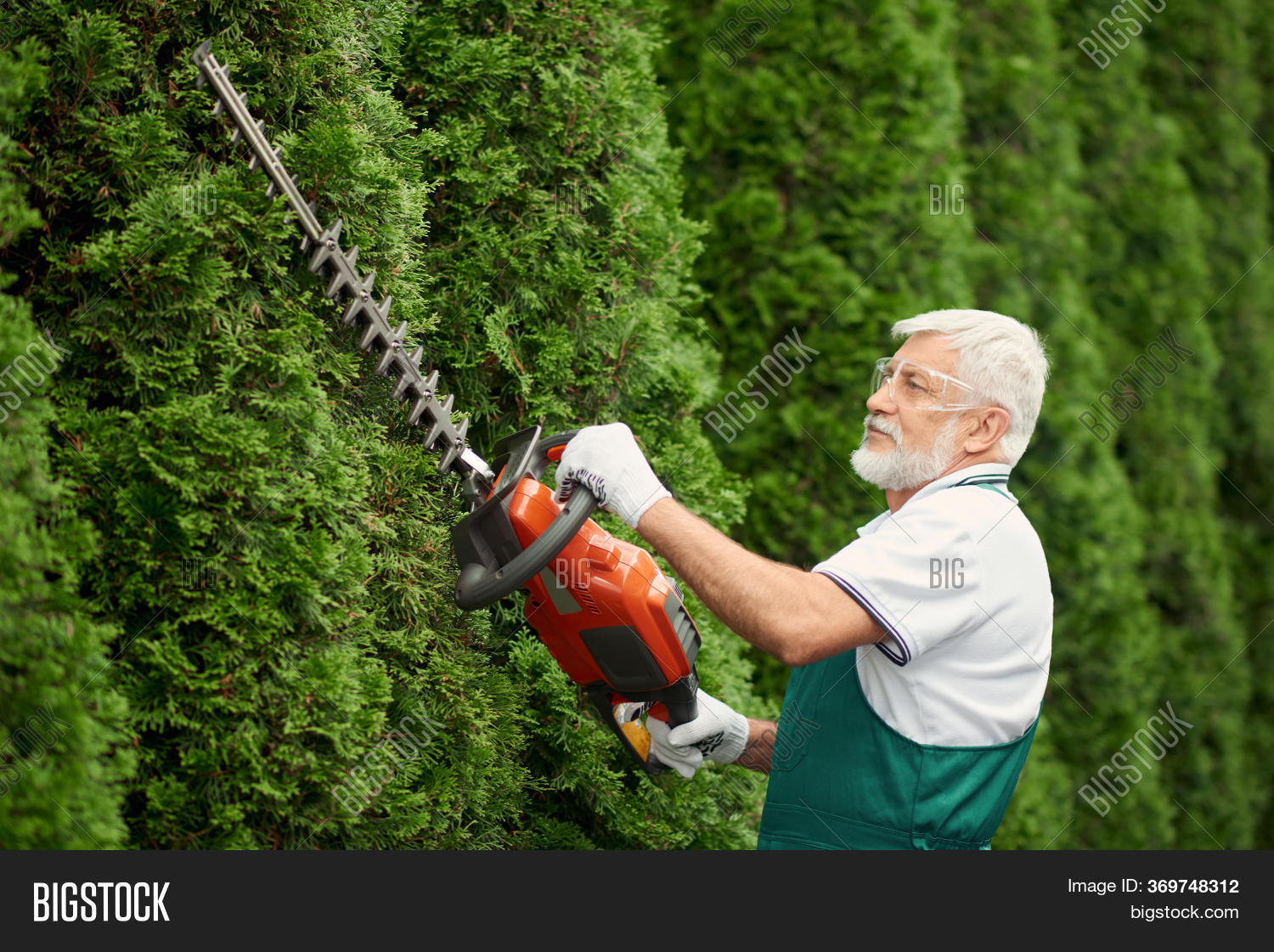 Side View Edery Image & Photo (Free Trial) | Bigstock