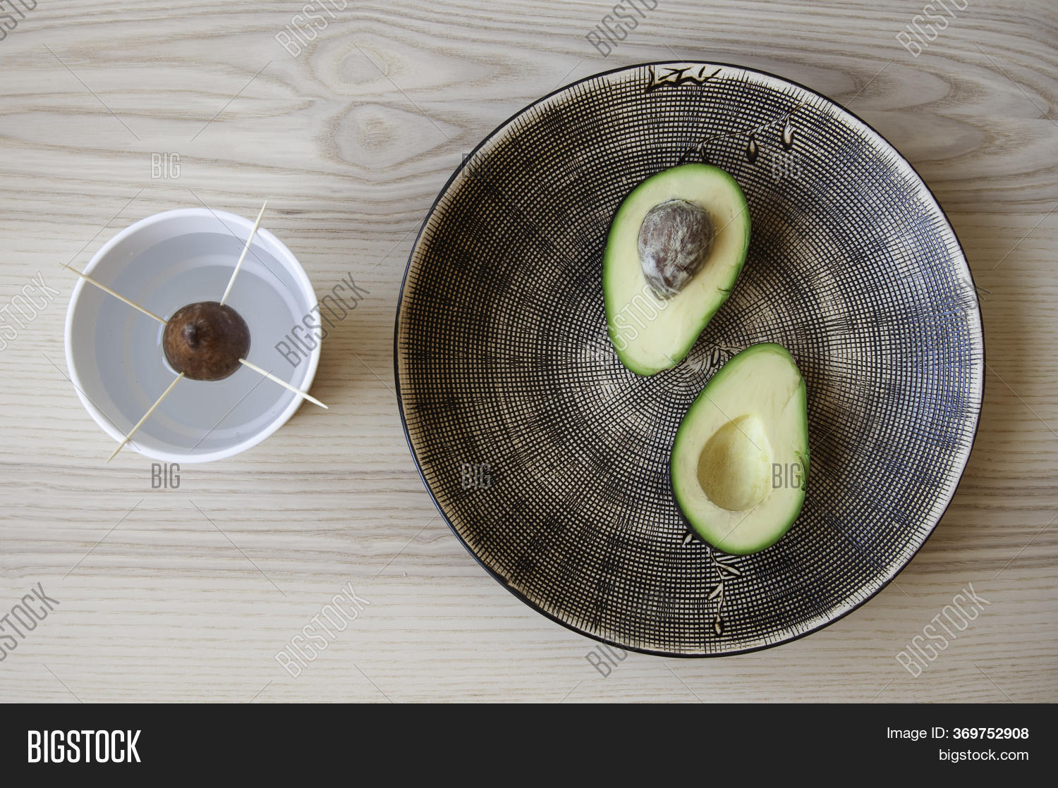 Top View Avocado Fruit Image & Photo (Free Trial) | Bigstock