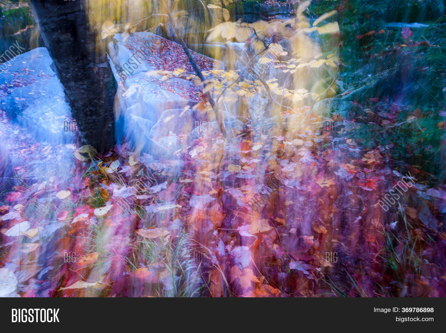 Abstract Fall Colors Image & Photo (Free Trial) | Bigstock