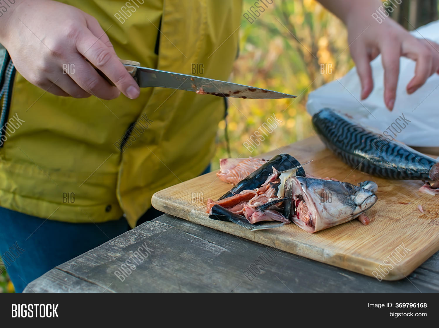Disemboweled Fish Image & Photo (Free Trial) | Bigstock