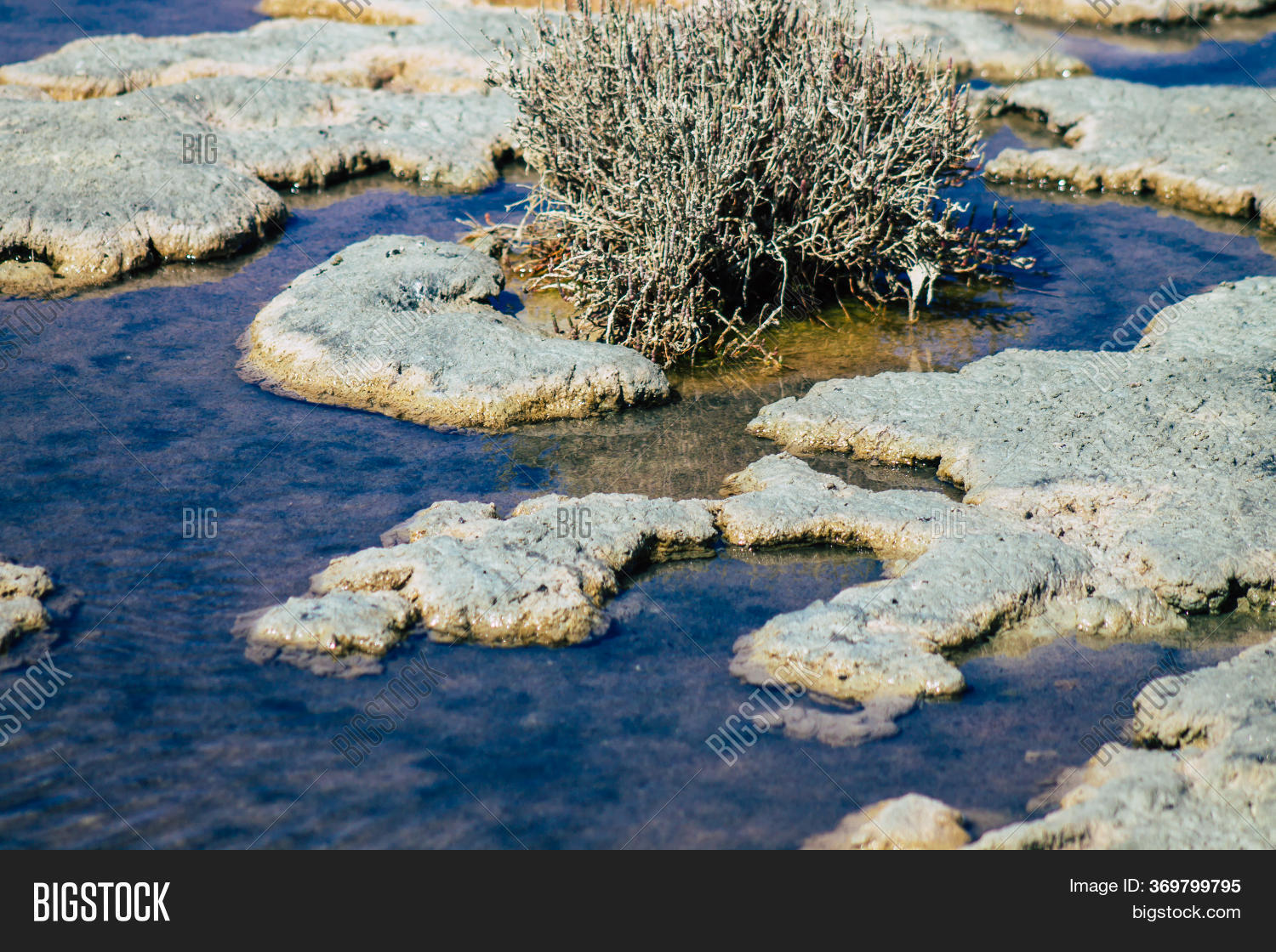 Limassol Cyprus June Image & Photo (Free Trial) | Bigstock