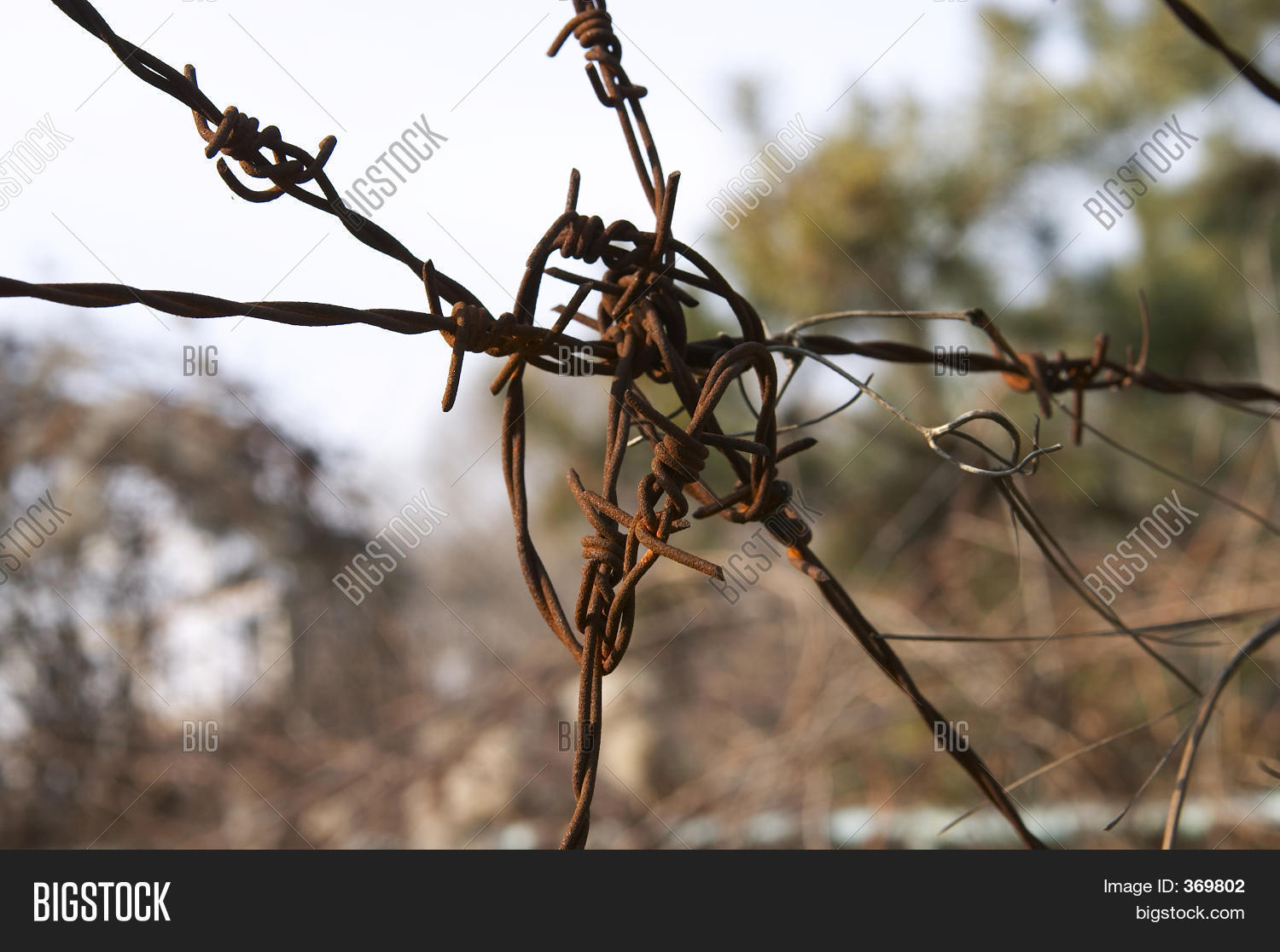 Spiked Wire Image & Photo (Free Trial) | Bigstock