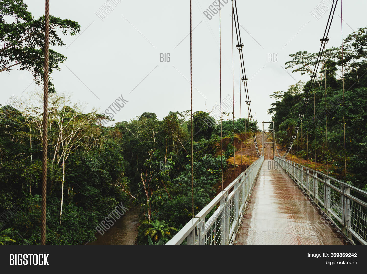 Bridge Over River Image & Photo (Free Trial) | Bigstock