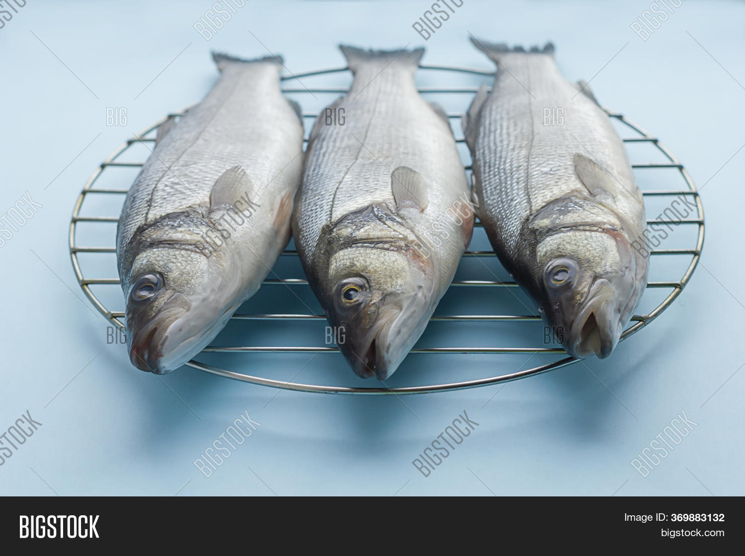 Fresh Raw Sea Bass Image & Photo (Free Trial) | Bigstock