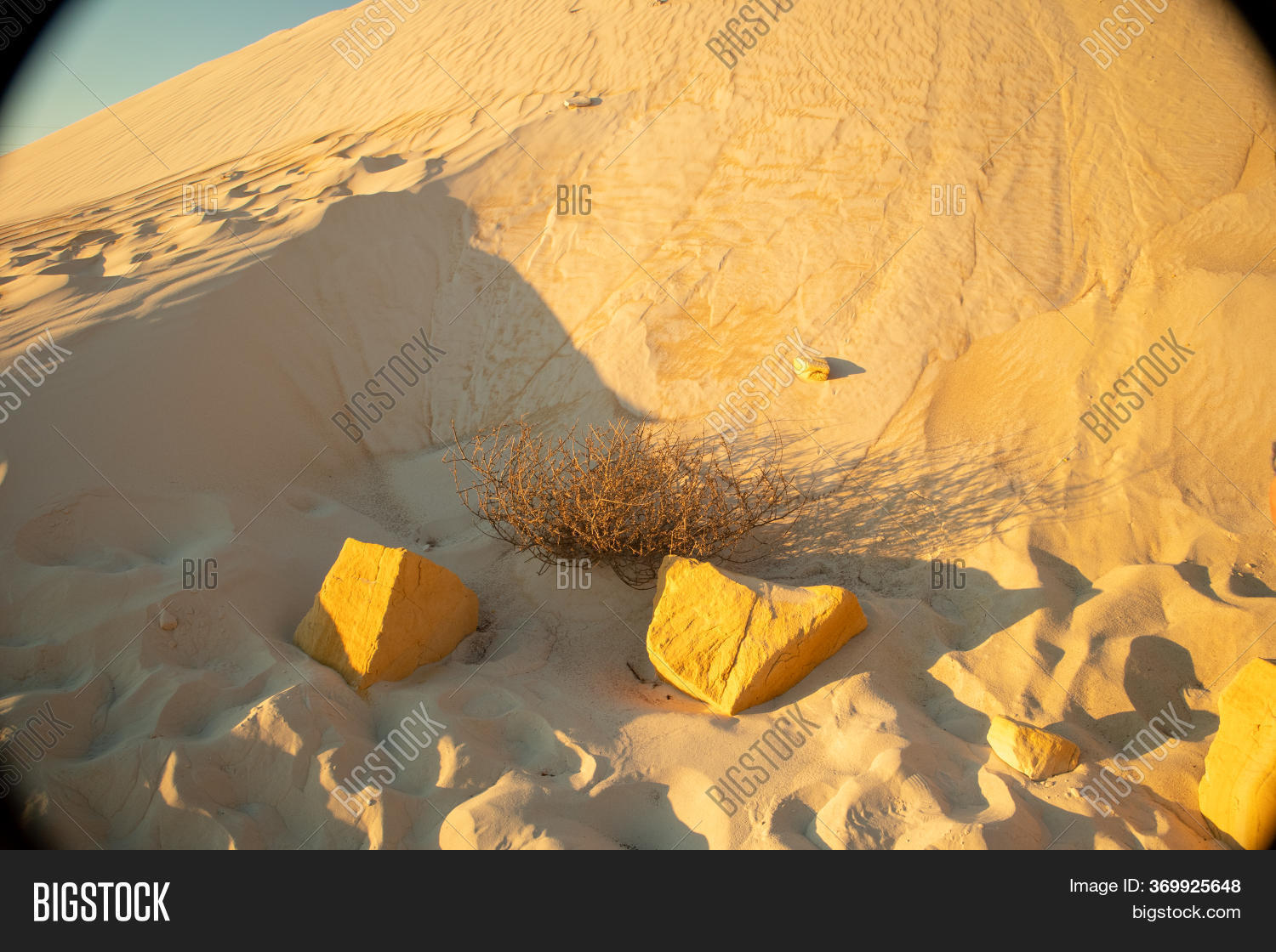 Stones Desert On Sand Image & Photo (Free Trial) | Bigstock