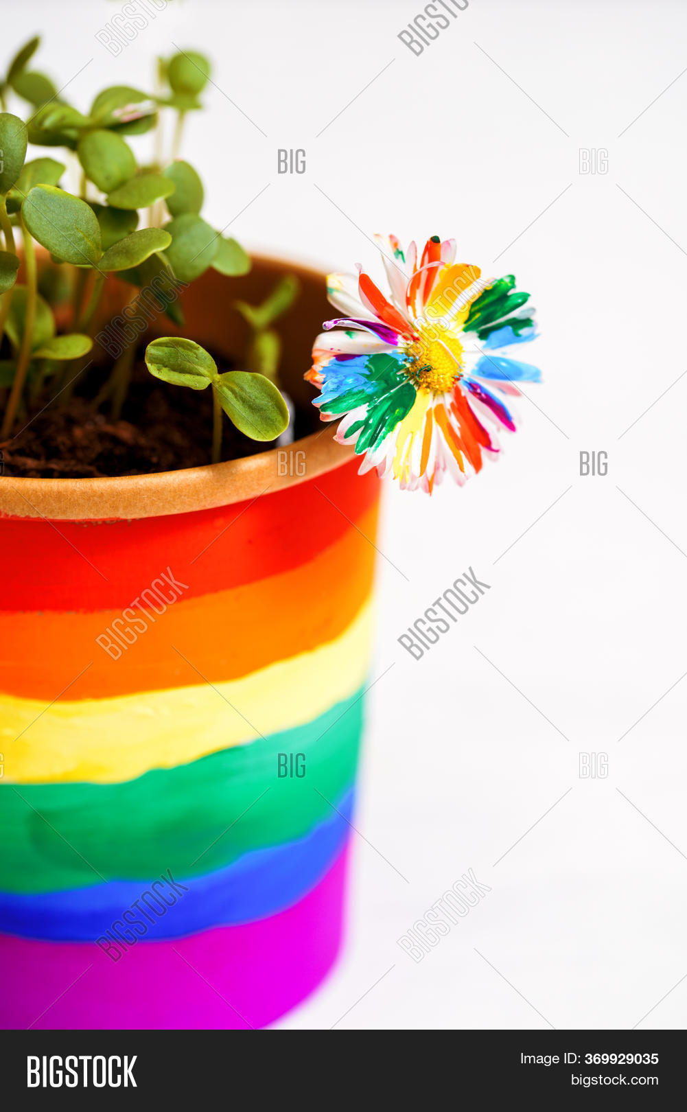 Multi-colored Drawing Image & Photo (Free Trial) | Bigstock