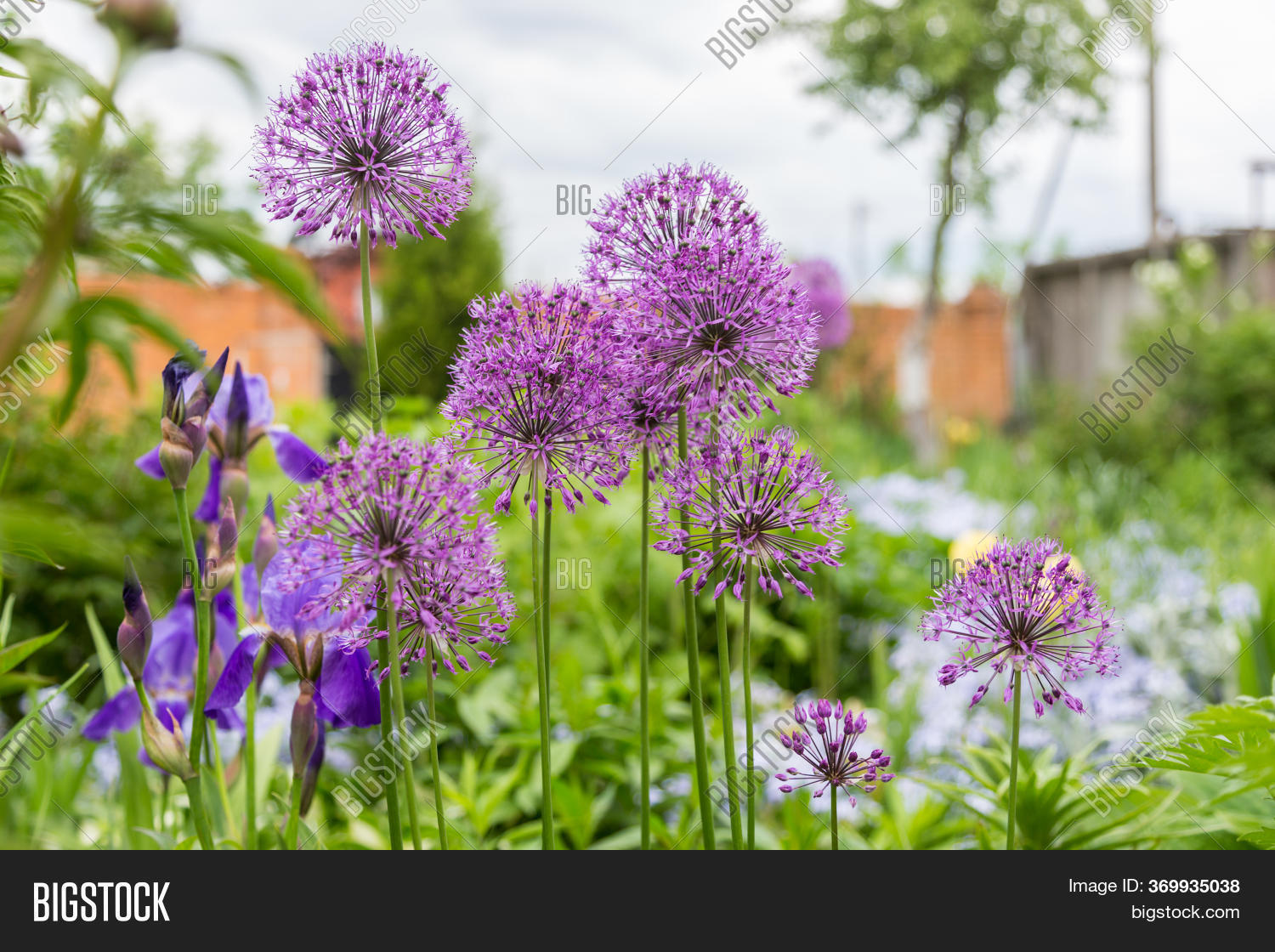 Spherical Shaped, Image & Photo (Free Trial) | Bigstock