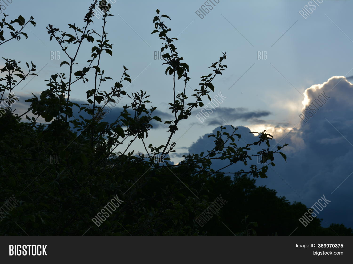 Curly Thick Clouds Image & Photo (Free Trial) | Bigstock