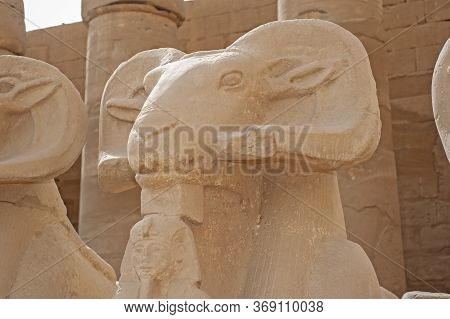Ancient Egyptian Ram Image & Photo (Free Trial) | Bigstock
