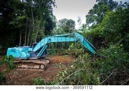 Deforestation. Logging Image & Photo (Free Trial) | Bigstock