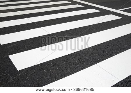 Zebra Crossing Without Image & Photo (Free Trial) | Bigstock