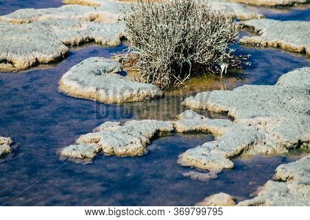 Limassol Cyprus June Image & Photo (Free Trial) | Bigstock
