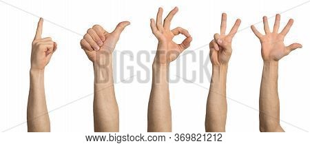 Man Hand Showing Image & Photo (Free Trial) | Bigstock