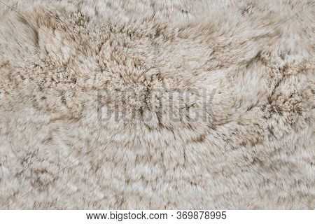 Seamless Beige Fur Image & Photo (Free Trial) | Bigstock