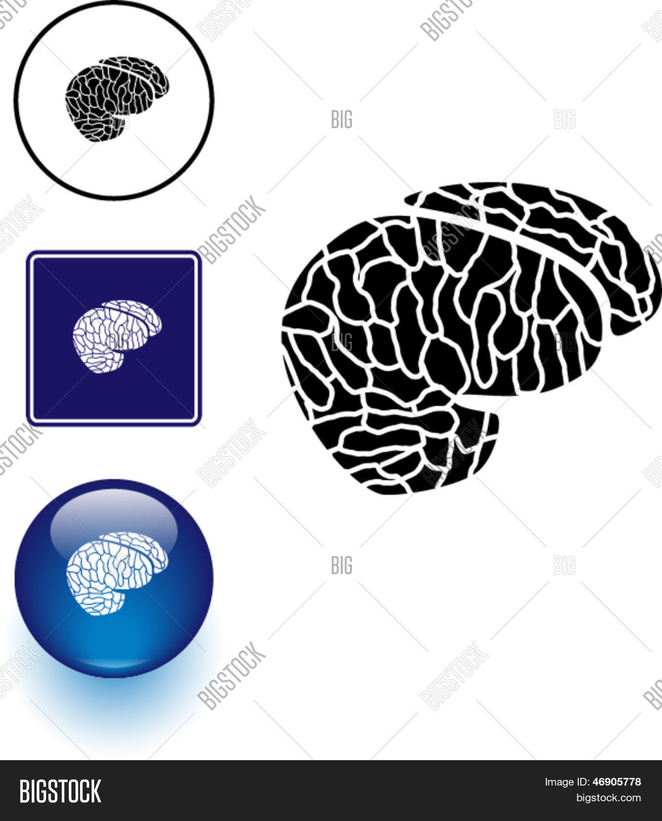 Brain Symbol Sign Vector & Photo (Free Trial) | Bigstock