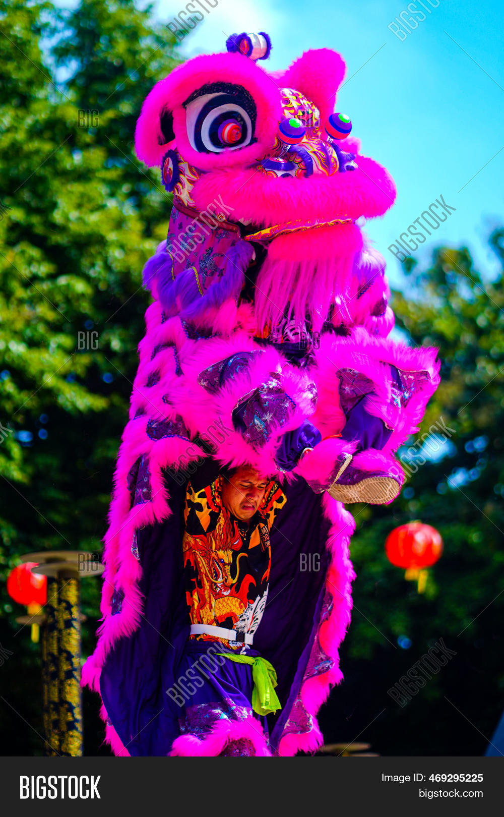 Lion Dance Barongsai Image & Photo (Free Trial) | Bigstock