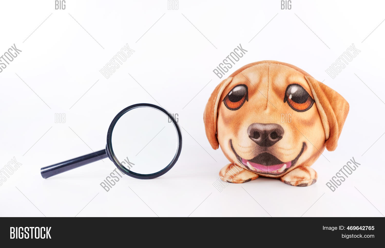 Small Round Dog Puppy Image & Photo (Free Trial) | Bigstock
