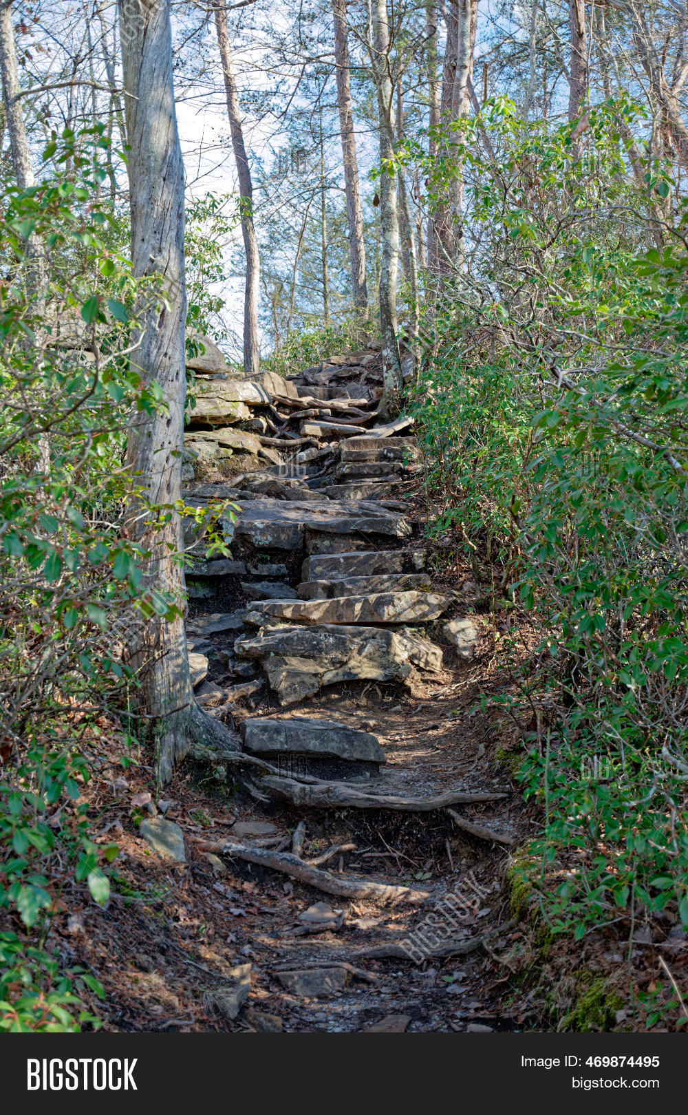 Rough Trail Rocks Image & Photo (Free Trial) | Bigstock