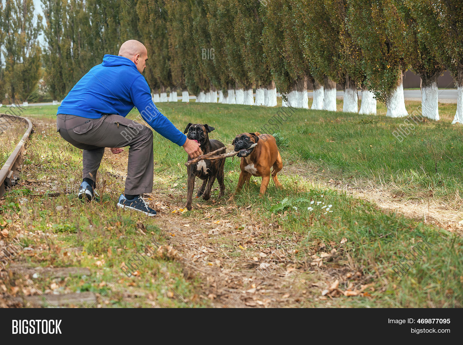 Male Owner Dog Kennel Image & Photo (Free Trial) | Bigstock