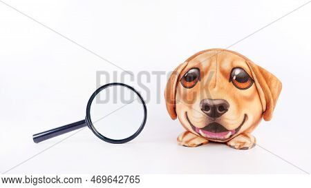 Small Round Dog Puppy Image & Photo (Free Trial) | Bigstock