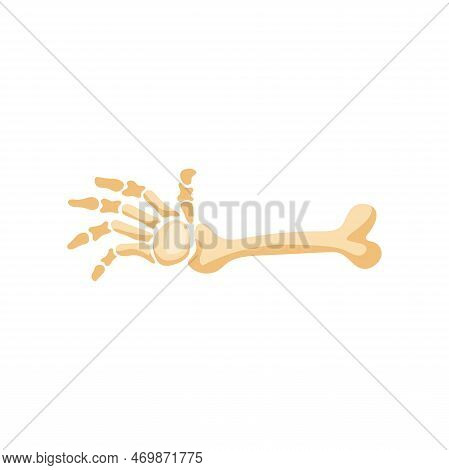 Skeleton Hand Vector & Photo (Free Trial) | Bigstock