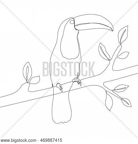 Continuous Line Pecan Vector & Photo (Free Trial) | Bigstock