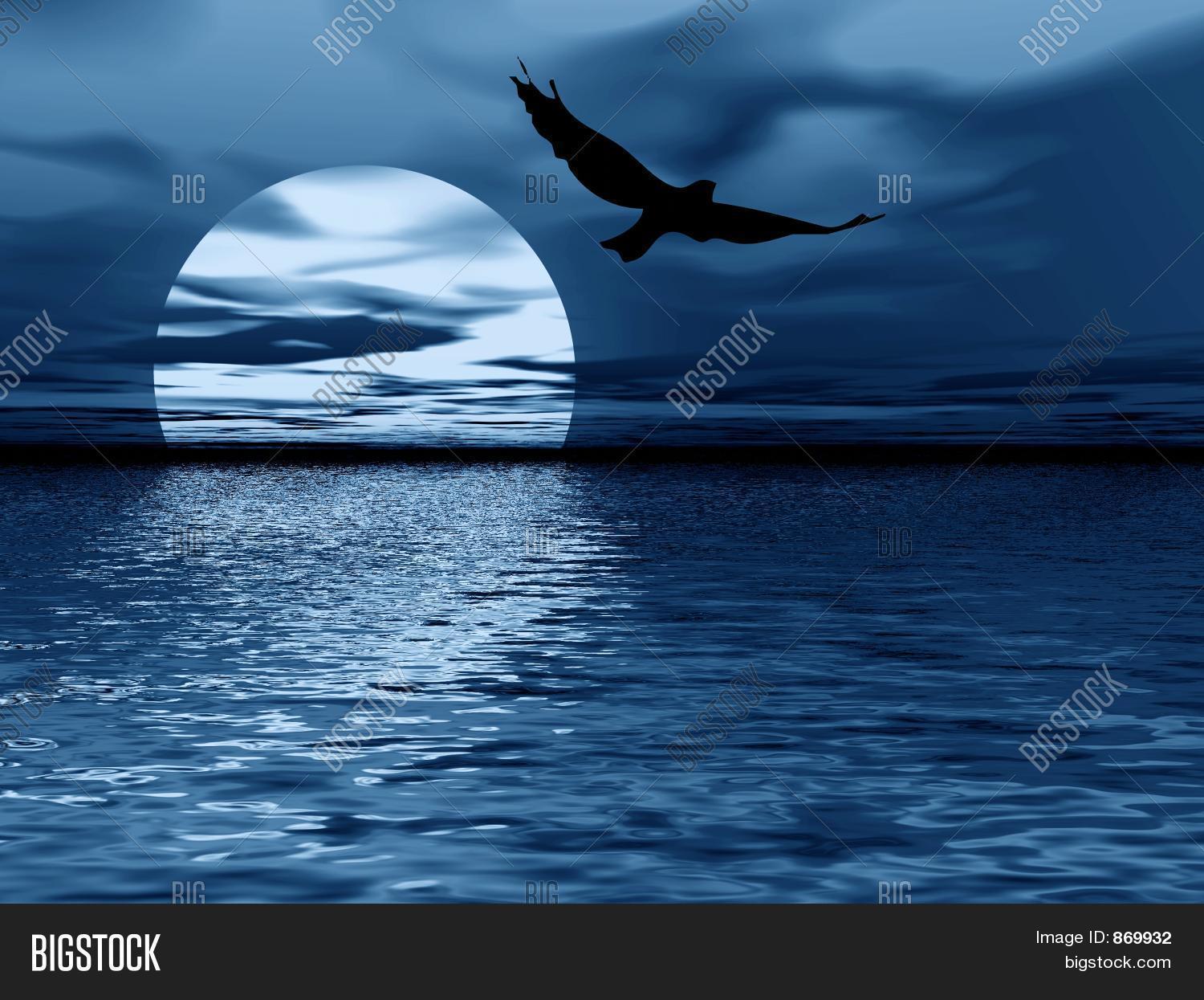 Blue Night. Moon Bird Image & Photo (Free Trial) | Bigstock