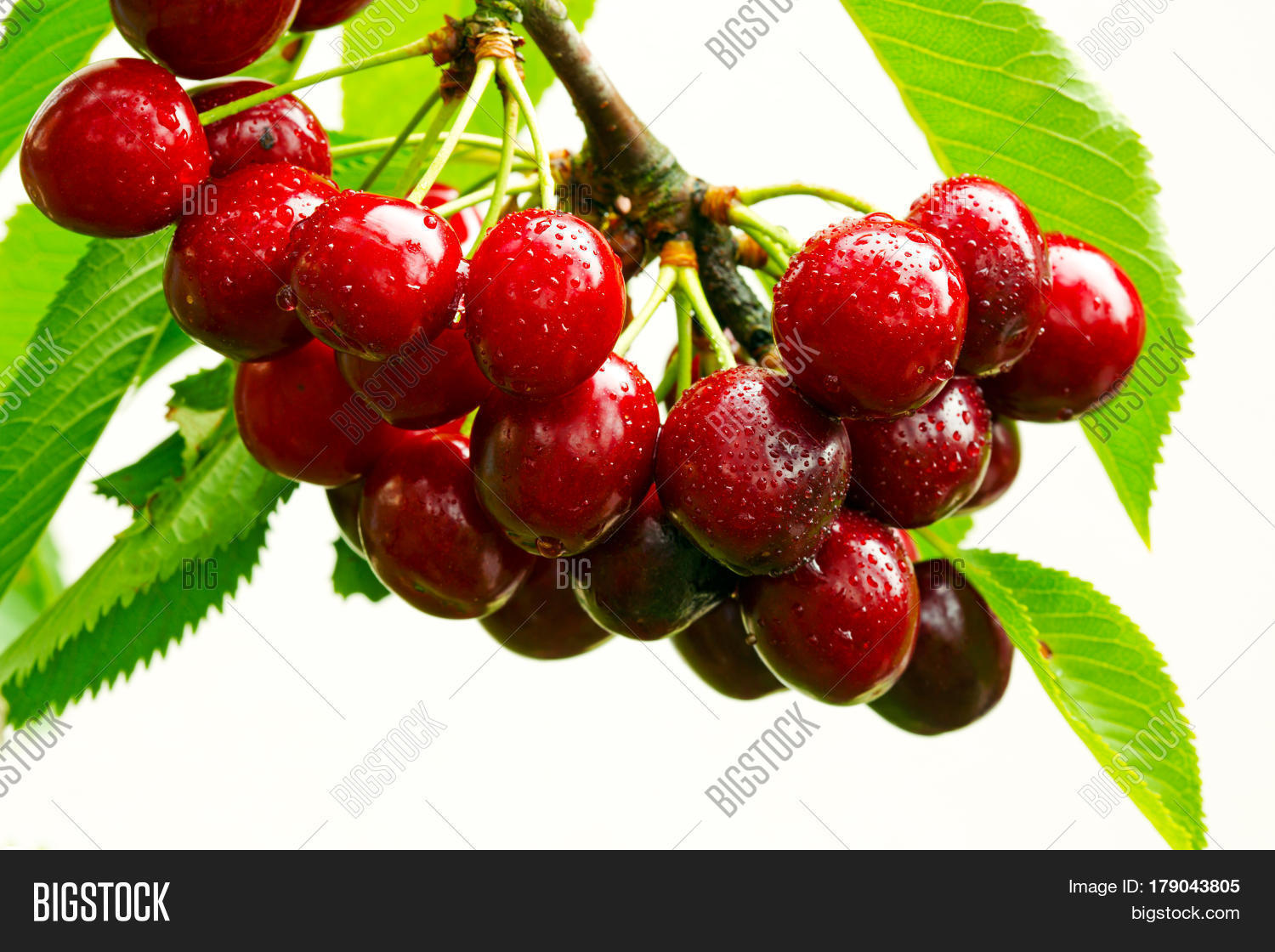 Ripe Red Berries Sweet Image & Photo (Free Trial) | Bigstock