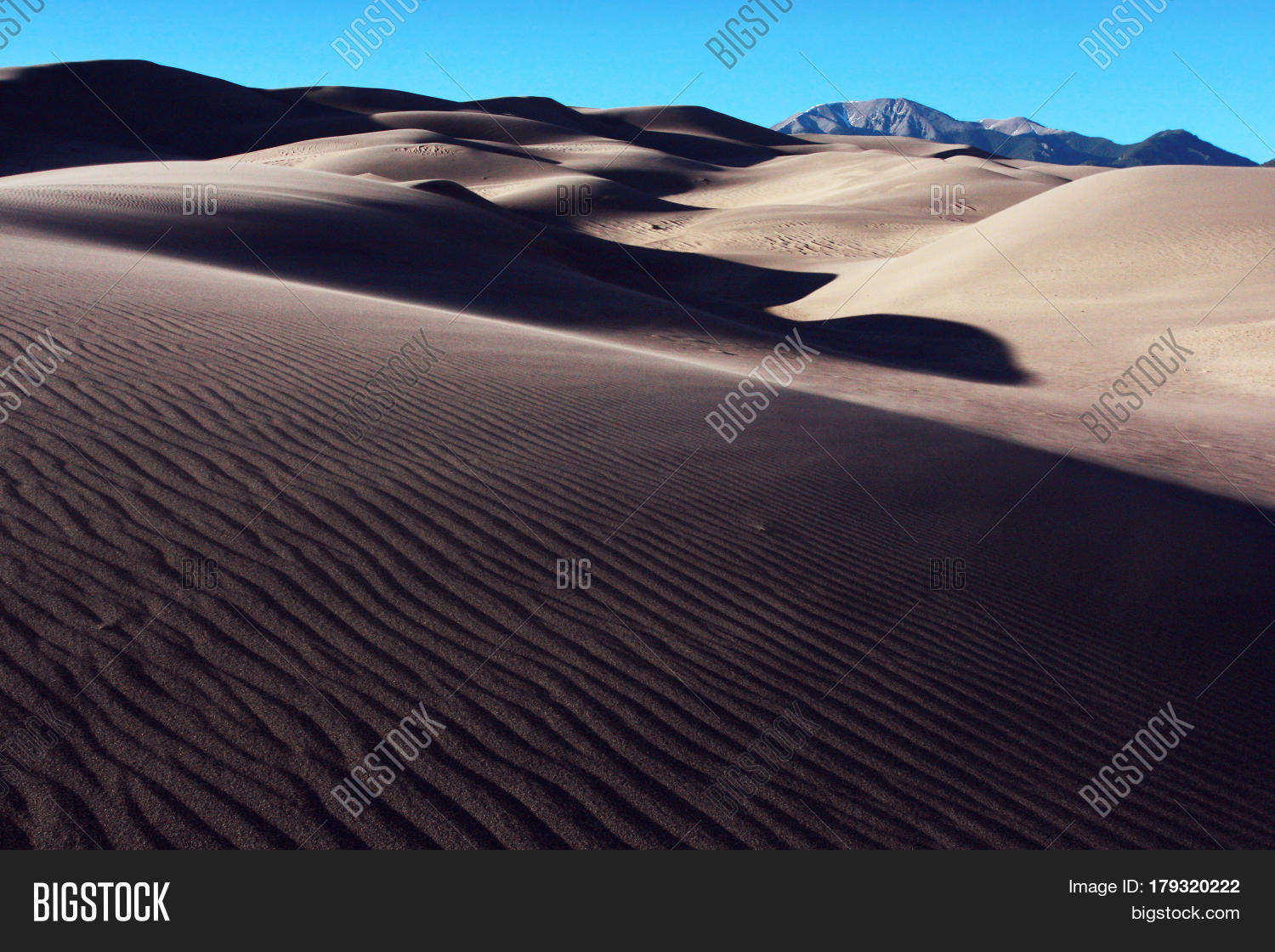 Afternoon Shadows Image & Photo (Free Trial) | Bigstock