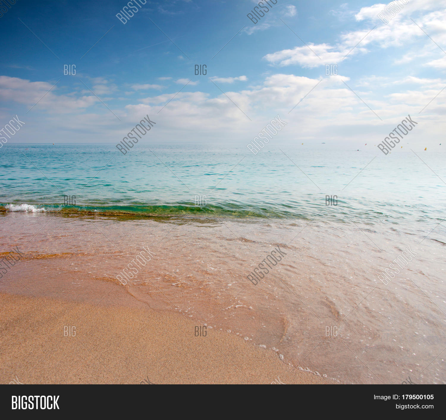 Sandy Beach Surface Image & Photo (Free Trial) | Bigstock