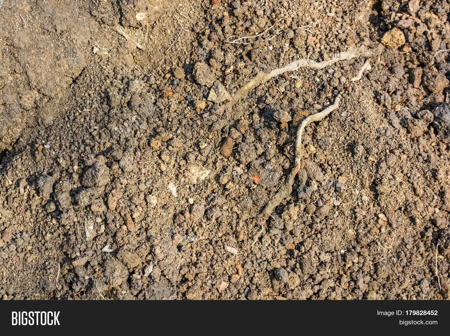 Brown Realistic Soil Image & Photo (Free Trial) | Bigstock