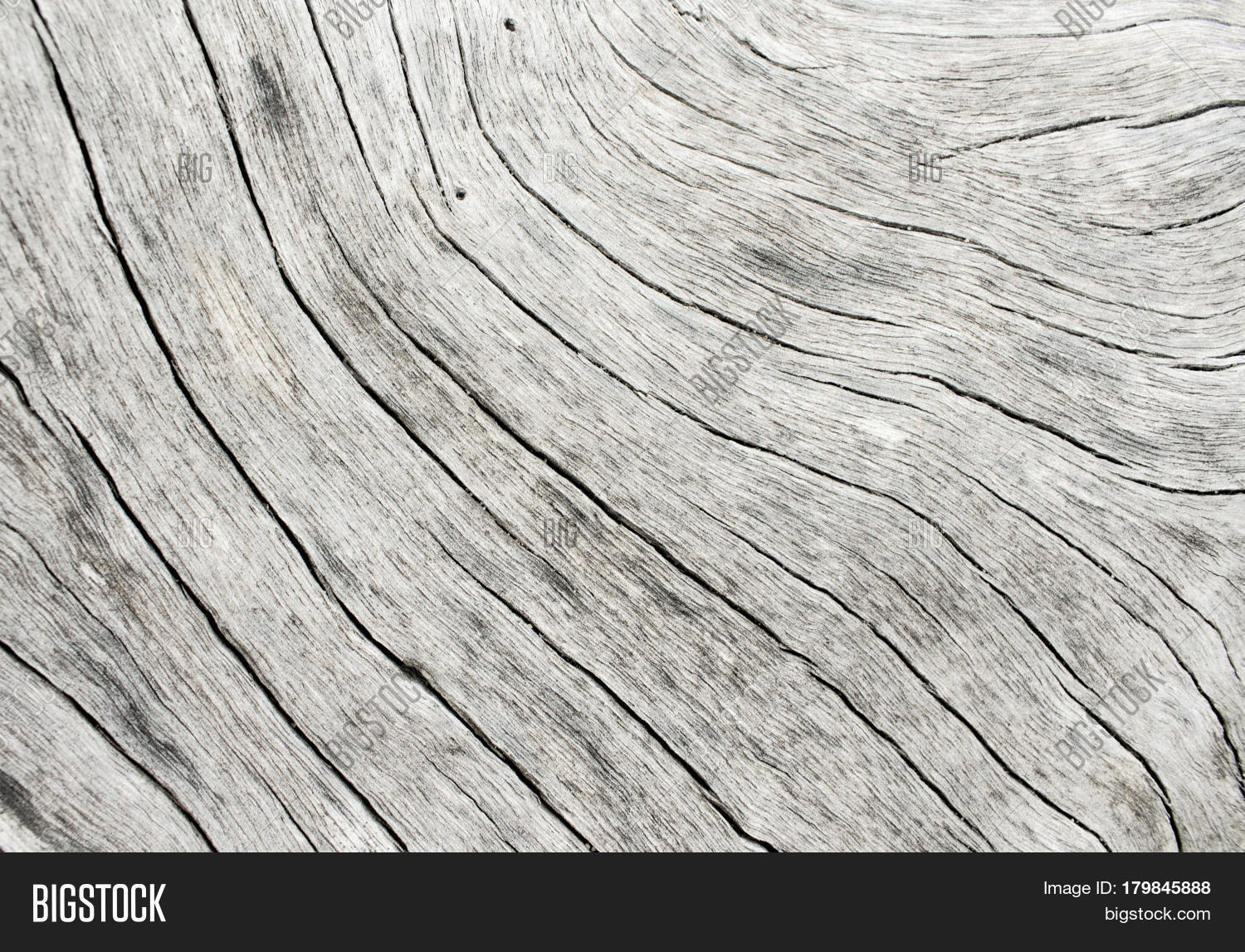 Grey Wood Texture Image & Photo (Free Trial) | Bigstock